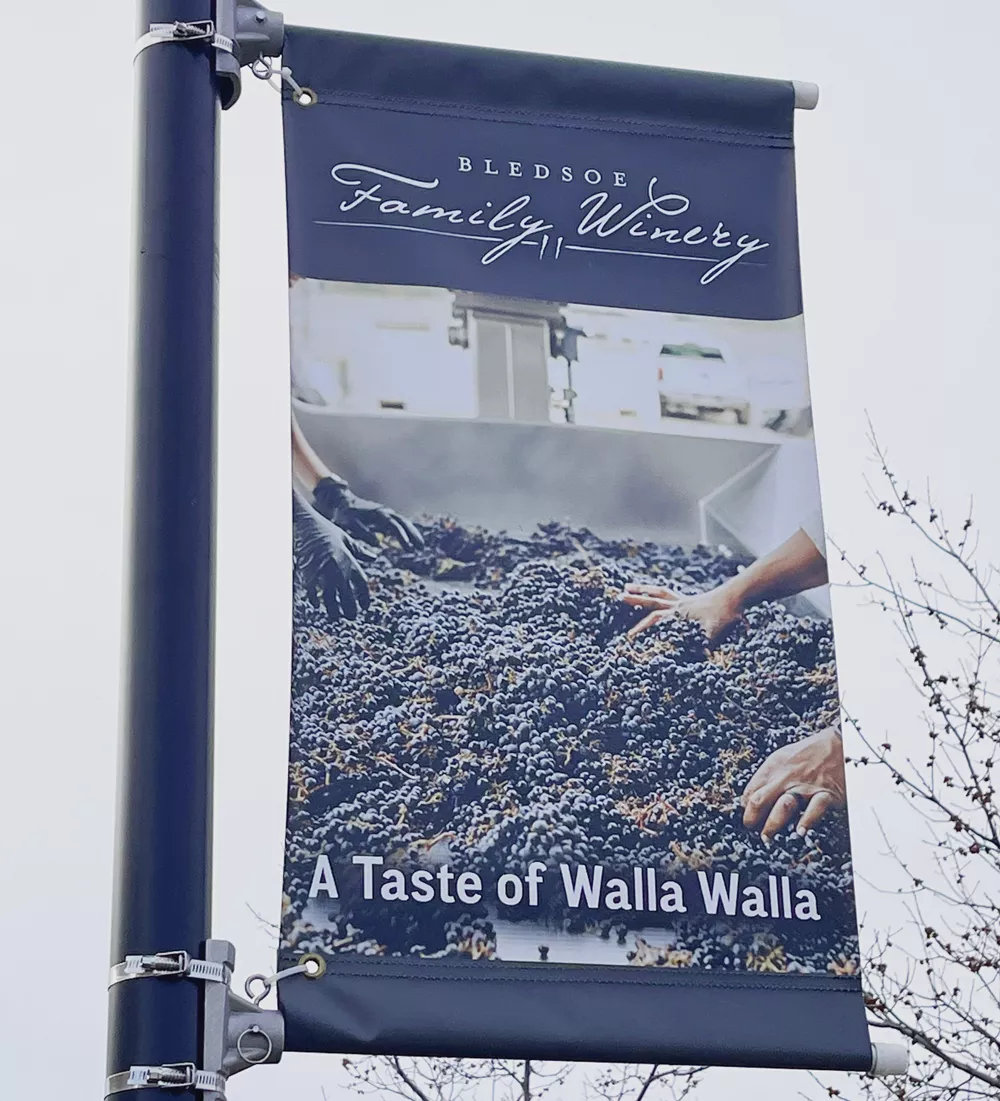 Move Over IPA, Here Comes the Cabernet,Chardonnay and Pinot Noir | The ...
