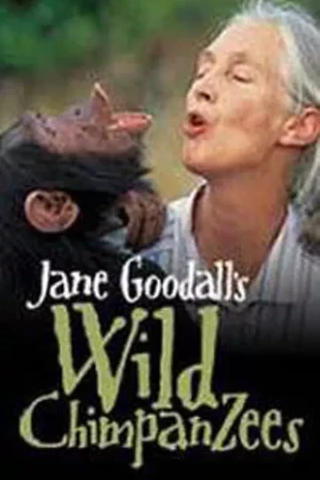 Jane Goodall's Wild Chimpanzees | Creative Loafing Charlotte