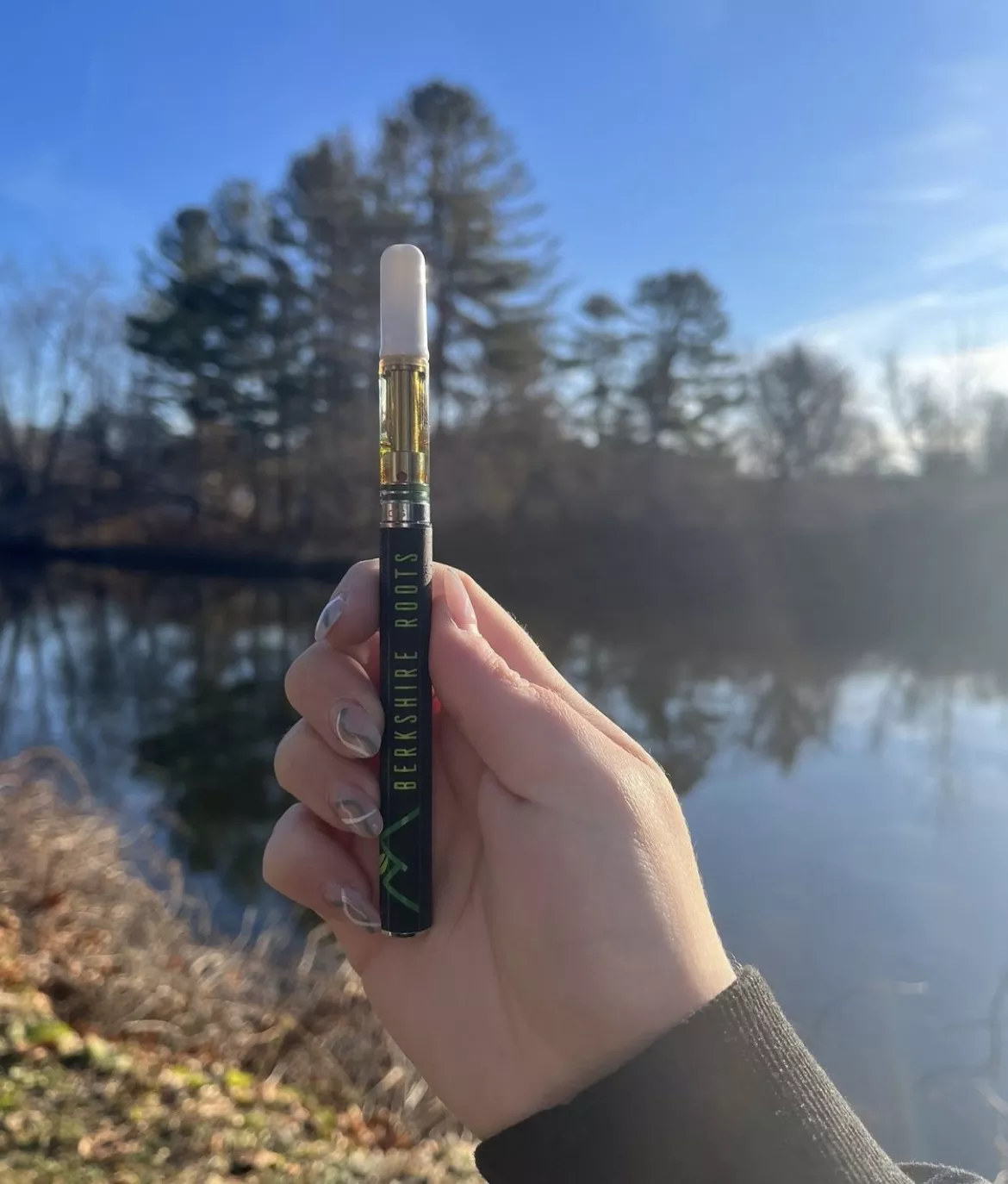 Celebrate 420 at Berkshire Roots | Sponsored | Dispensaries | Hudson ...