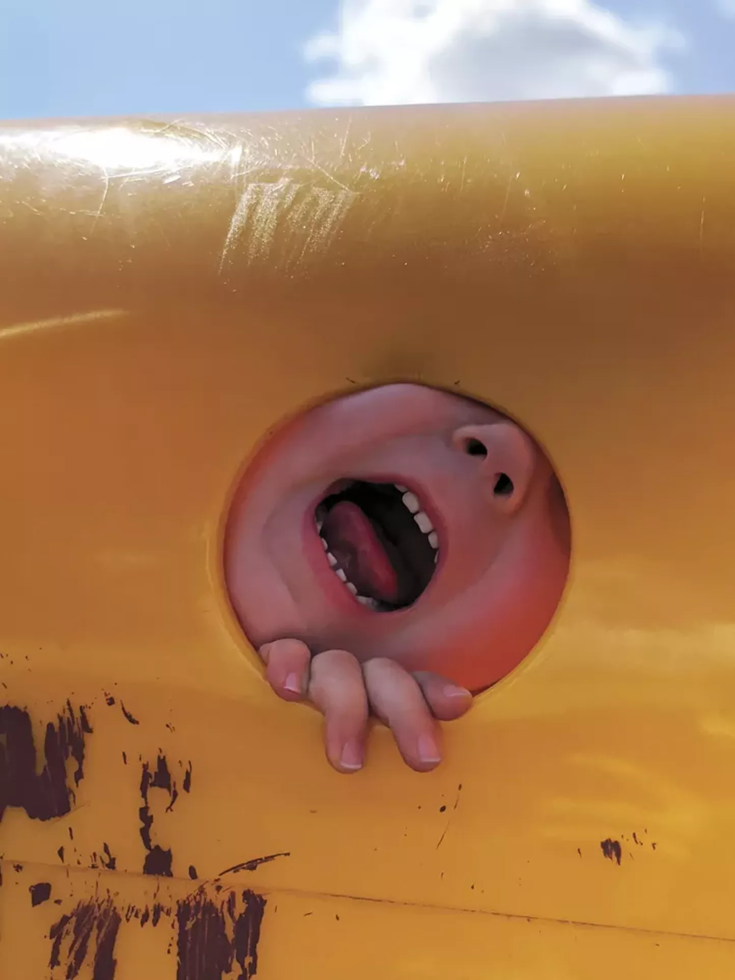 2020: The Year in Photos | Hudson Valley | Chronogram Magazine