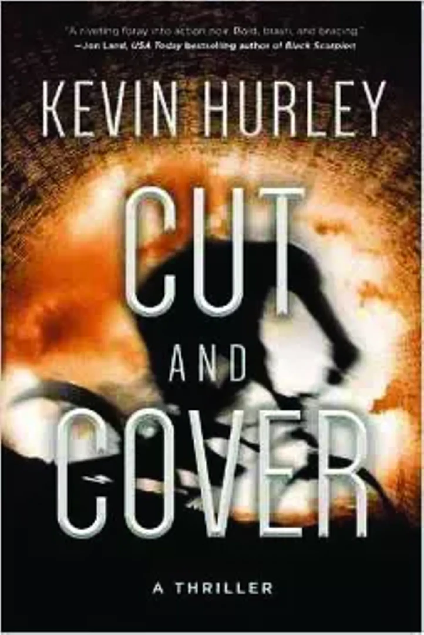 Book Review: Cut and Cover by Kevin Hurley & Not on Fire, Only Dying by ...