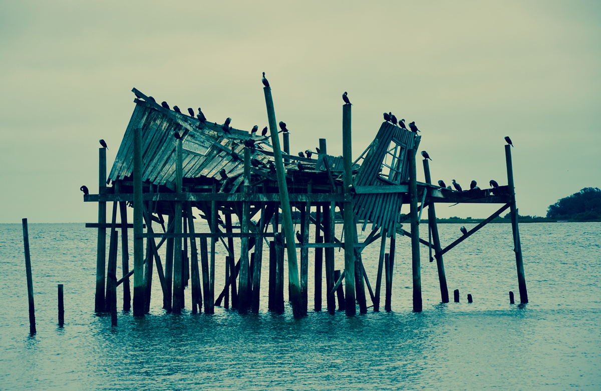 Road Trip: The headless pirate of Seahorse Key | Creative Loafing Tampa Bay