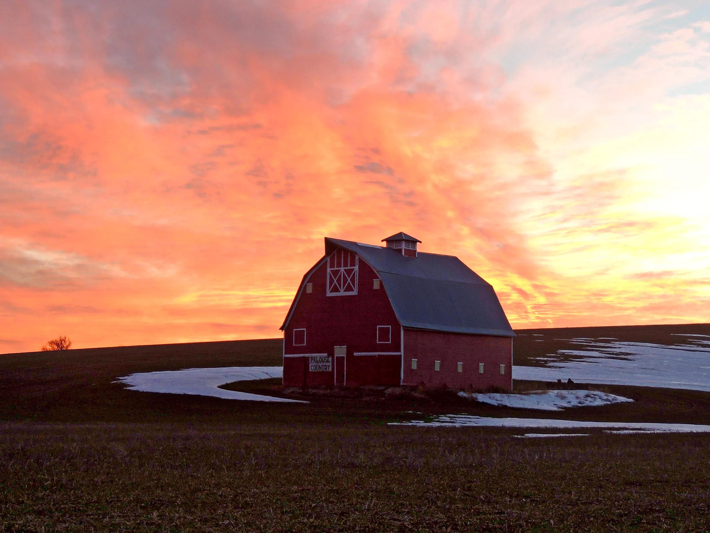 Barn Sunsets