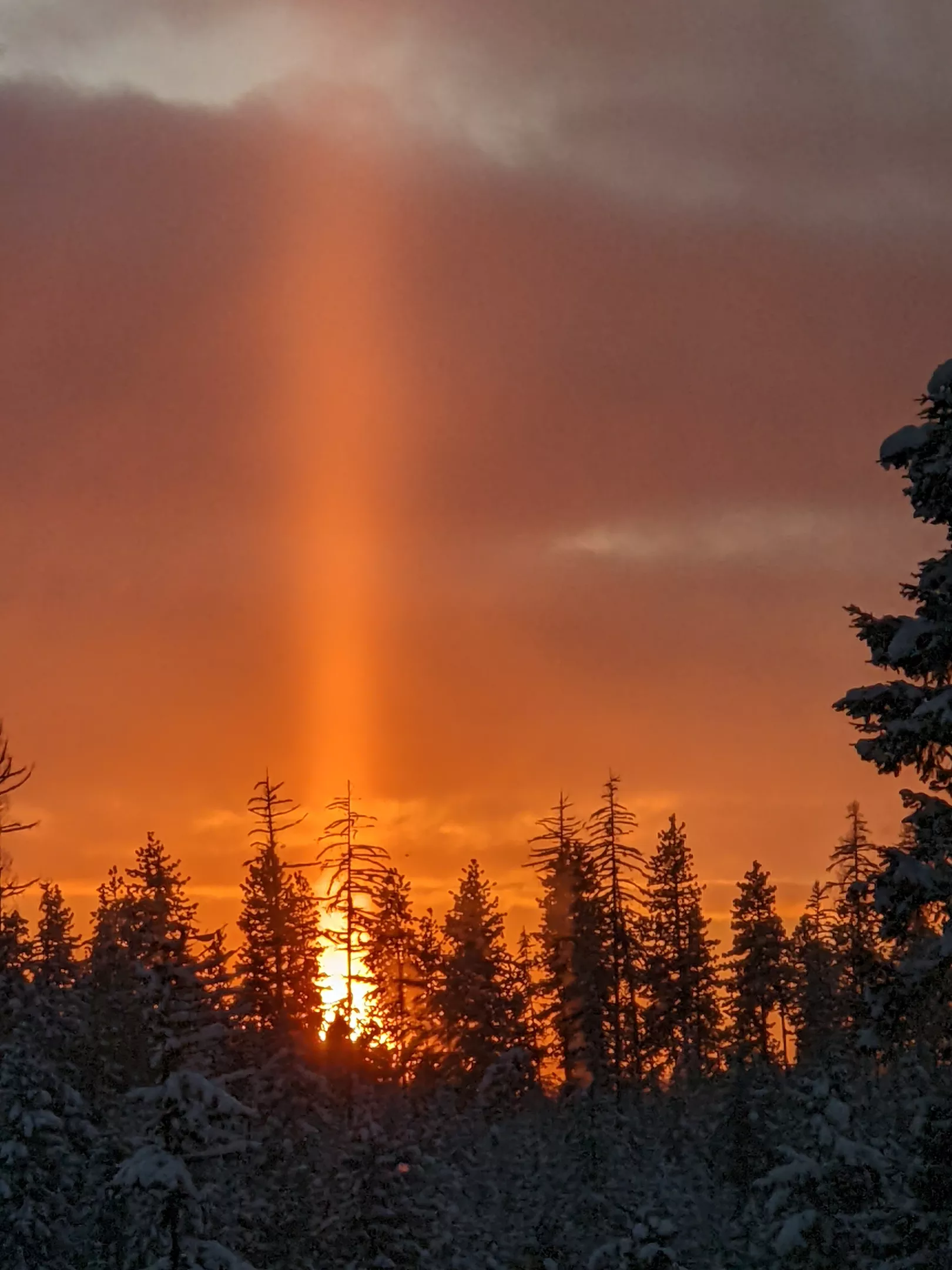 Inland 360: Where you go for what you do | Gallery | A Sun Torch