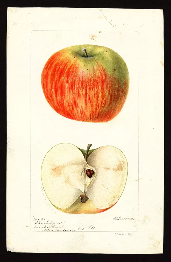 Lost Apple ID Apple Detective To Speak At Dinner Event Food News Reviews Lewiston lost-apple-id-apple-detective-to-speak-at-dinner-event-food-news-reviews-lewiston
