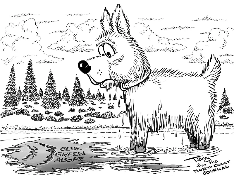 Hank The Cowdog Coloring Pages