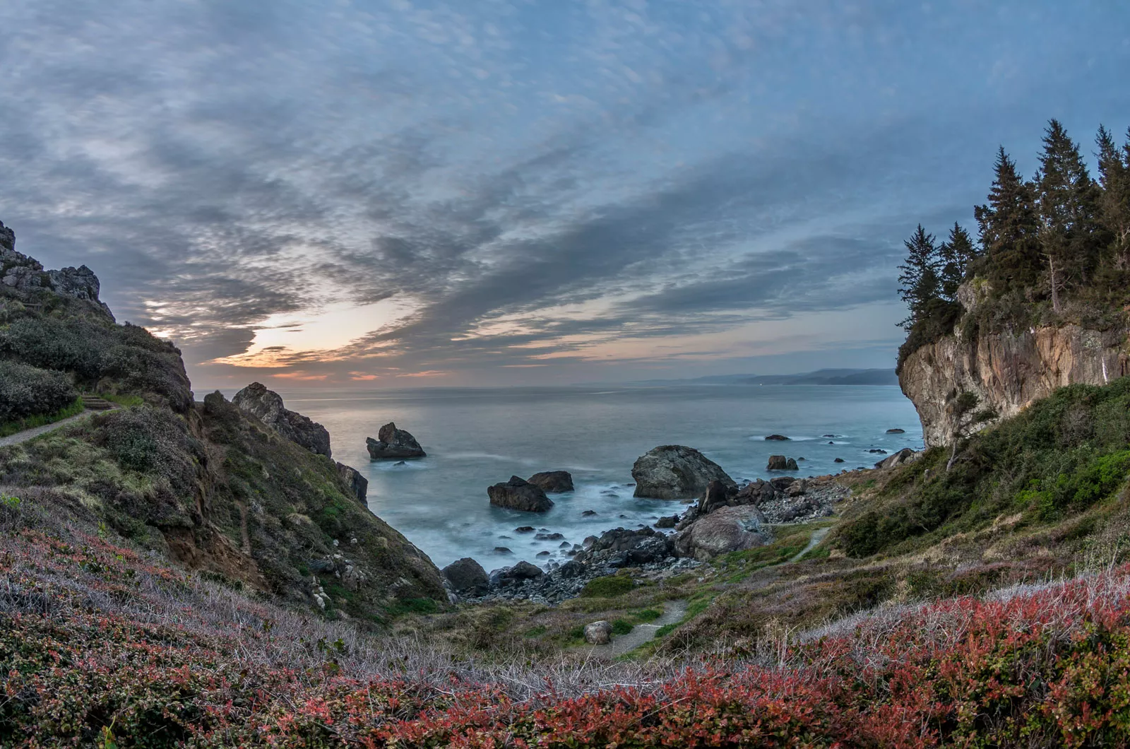 Series of Virtual State Park Tours to Feature Patrick's Point | News Blog