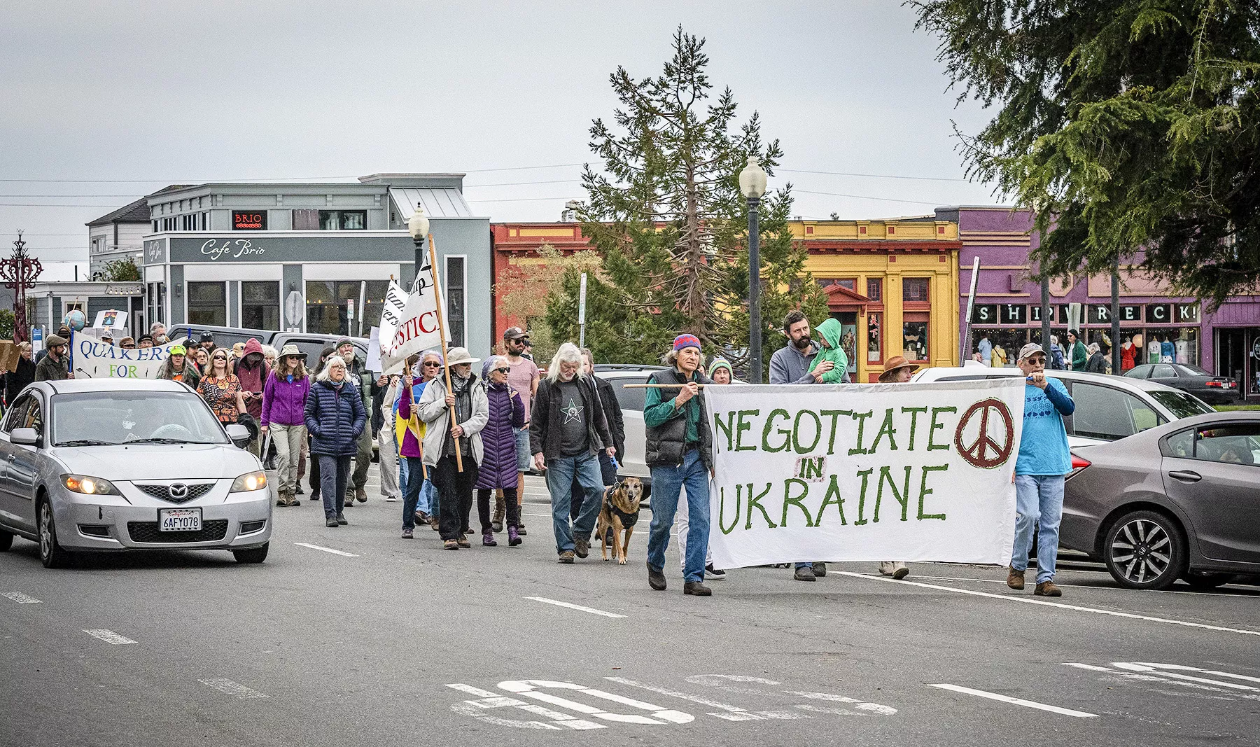 Peace Rally for Ukraine | News Blog