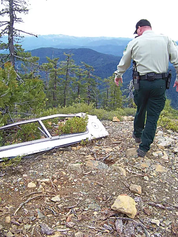 Tree Cop | North Coast Journal