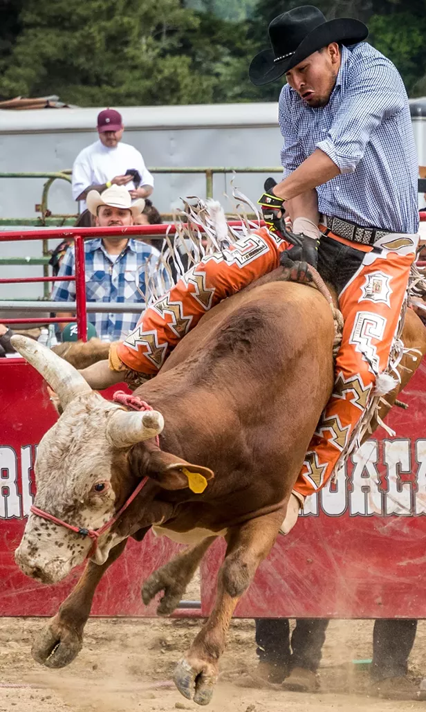 Mexican Rodeo 2018 | North Coast Journal