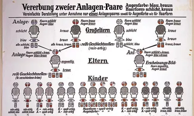 At the Warhol, Deadly Medicine shows how Darwin got twisted into ...