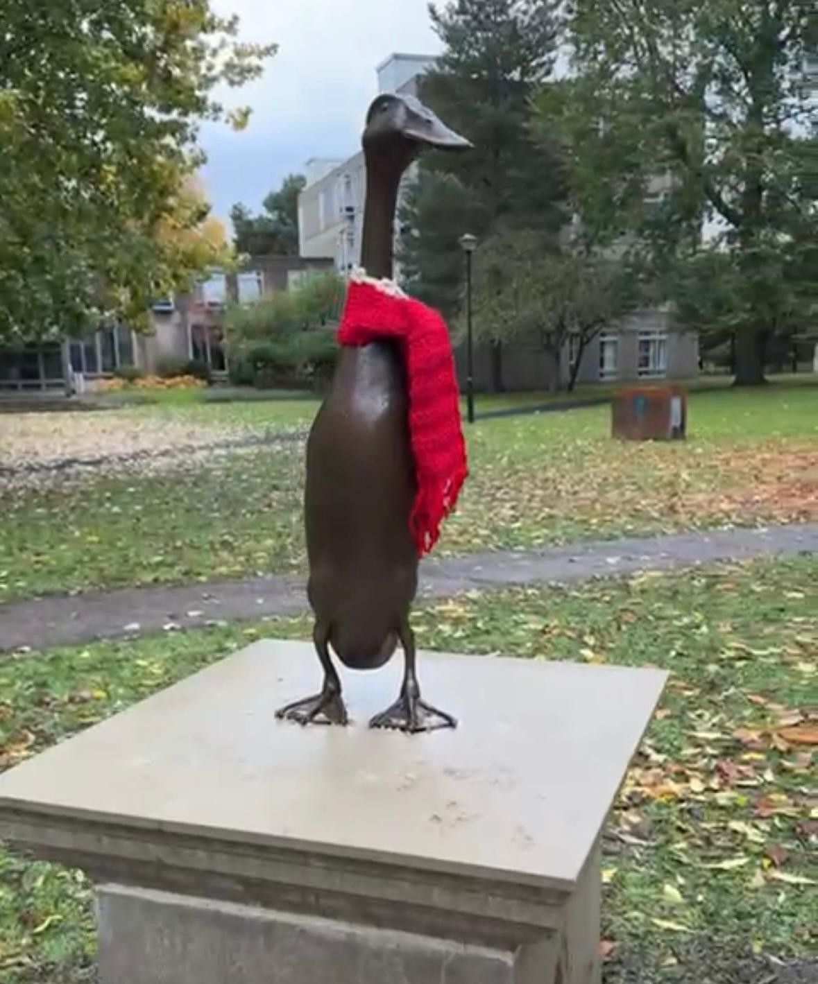 Good Morning, News: Carmen Rubio Investigation Finds "No Wrongdoings ...