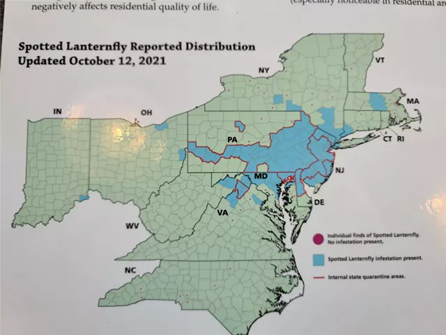 Morelle, local booze-makers urge vigilance against spotted lanternfly ...