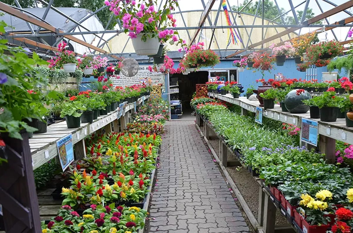 Plant Nursery Shopping