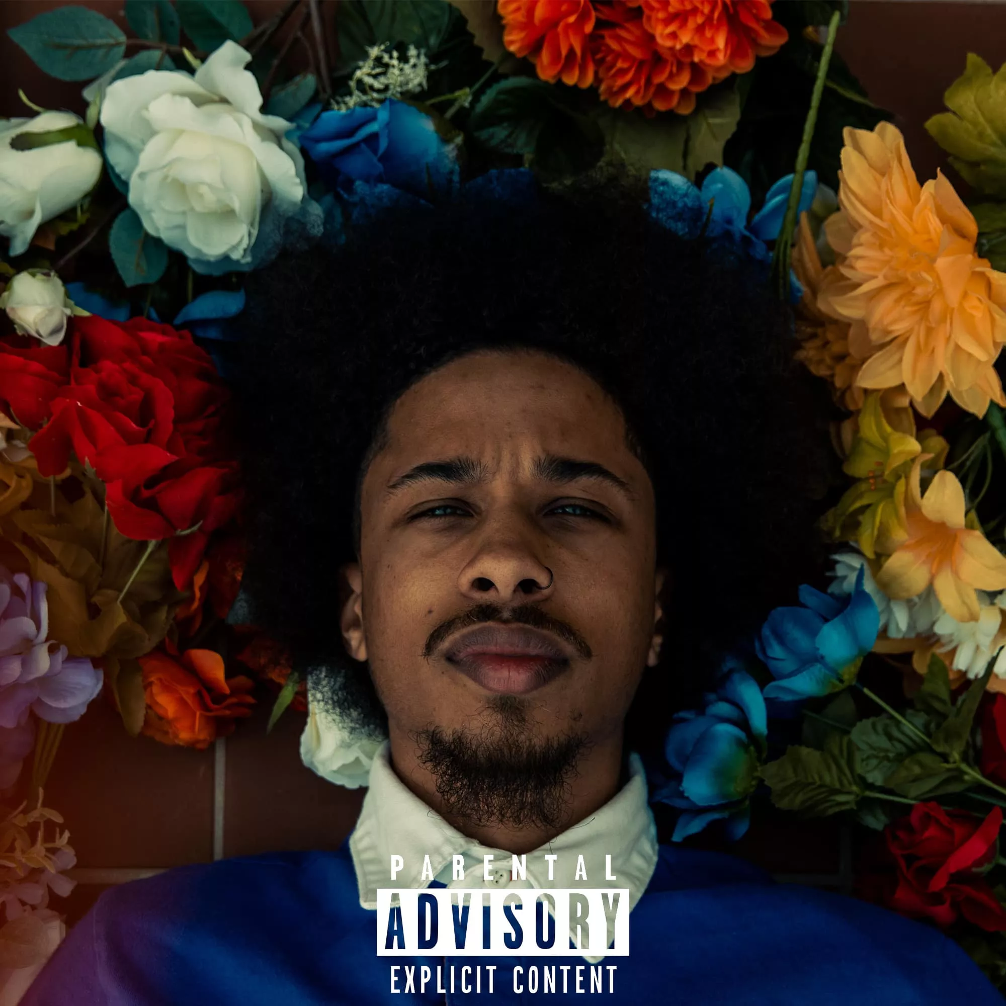 Music Update May 28 | Buzz Blog