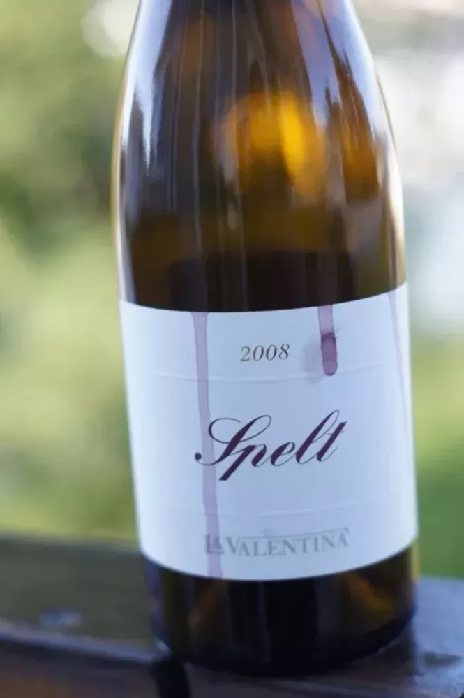 Wine Wednesday: La Valentina Montepulciano | Buzz Blog