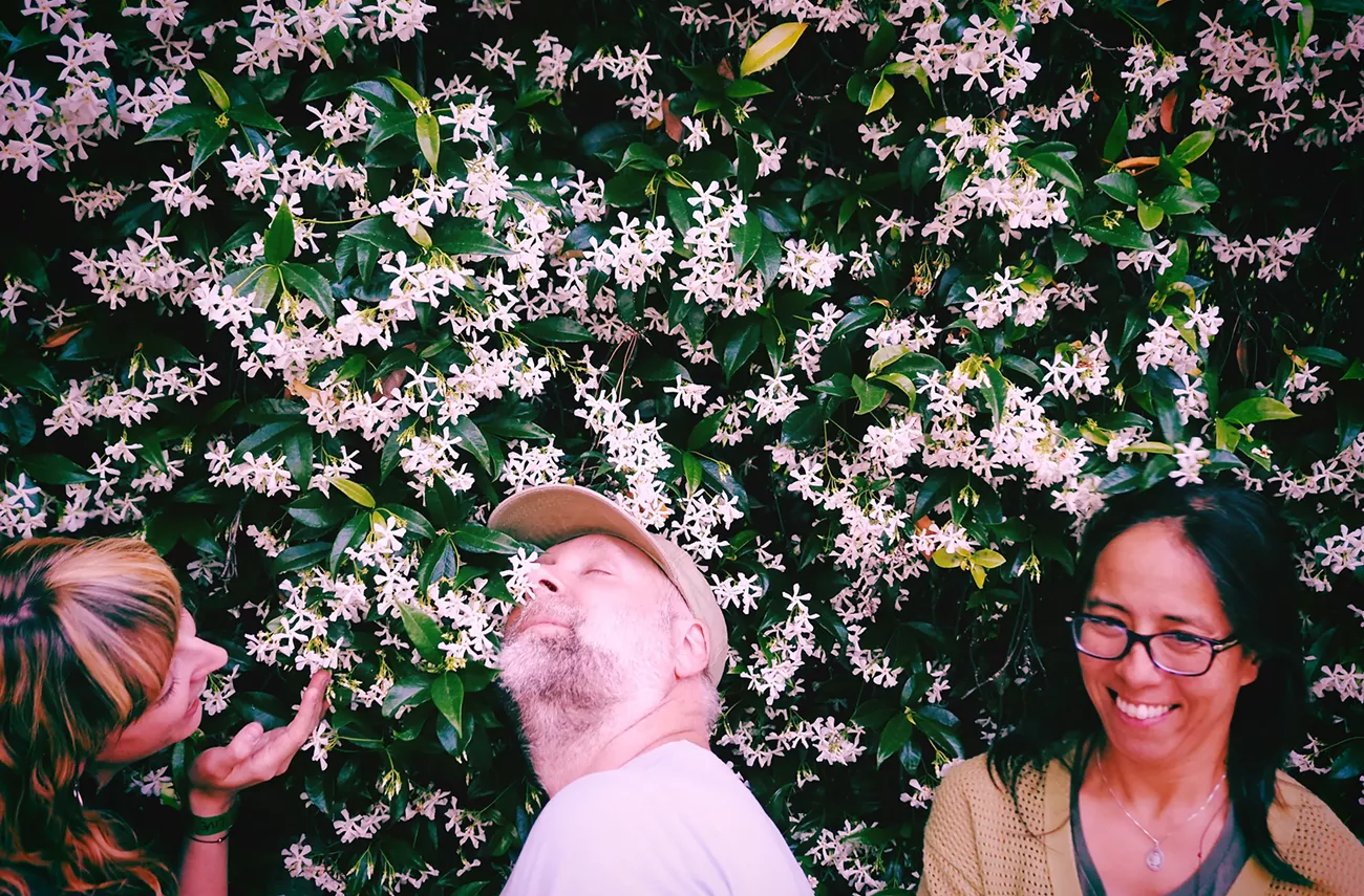 Stranger Suggests: Dead Bugs, One Decent Reason to Leave the House on ...