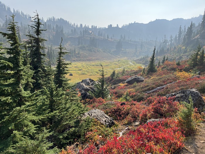 Slog PM: Alex Jones Owes Nearly $1 Billion to Sandy Hook Families, Racist LA City Council Member ...