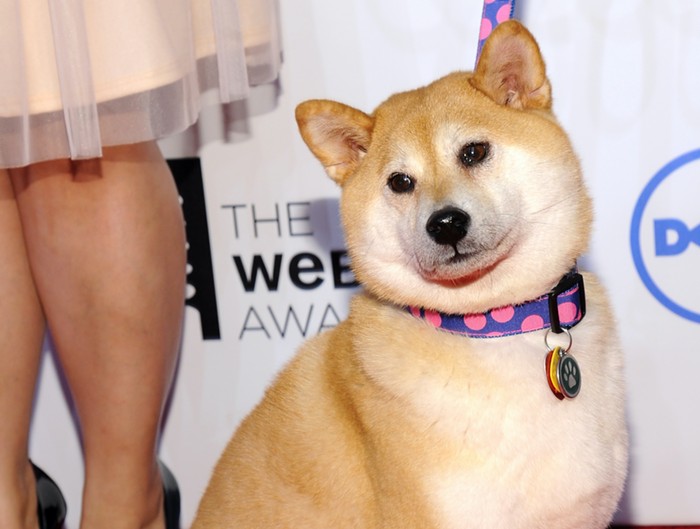 Slog PM: Another Bridge Down in West Seattle, at Least 34 Dead in ...