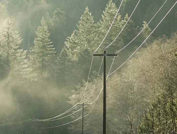 Slog AM: Power Still Out for 20,000 in Washington, Gaetz Gets on Cameo ...