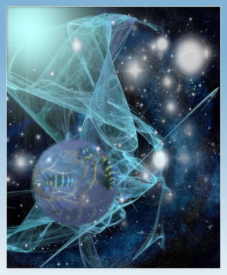 Cafe Racer Seattle Calendar | Reviewmotors.co