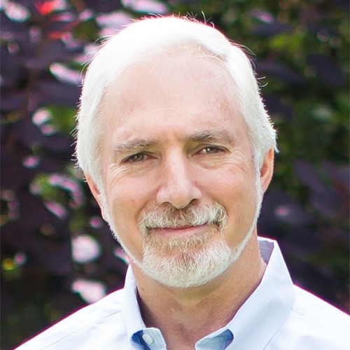 Elections 2024 - The Stranger, Seattle's Only Newspaper