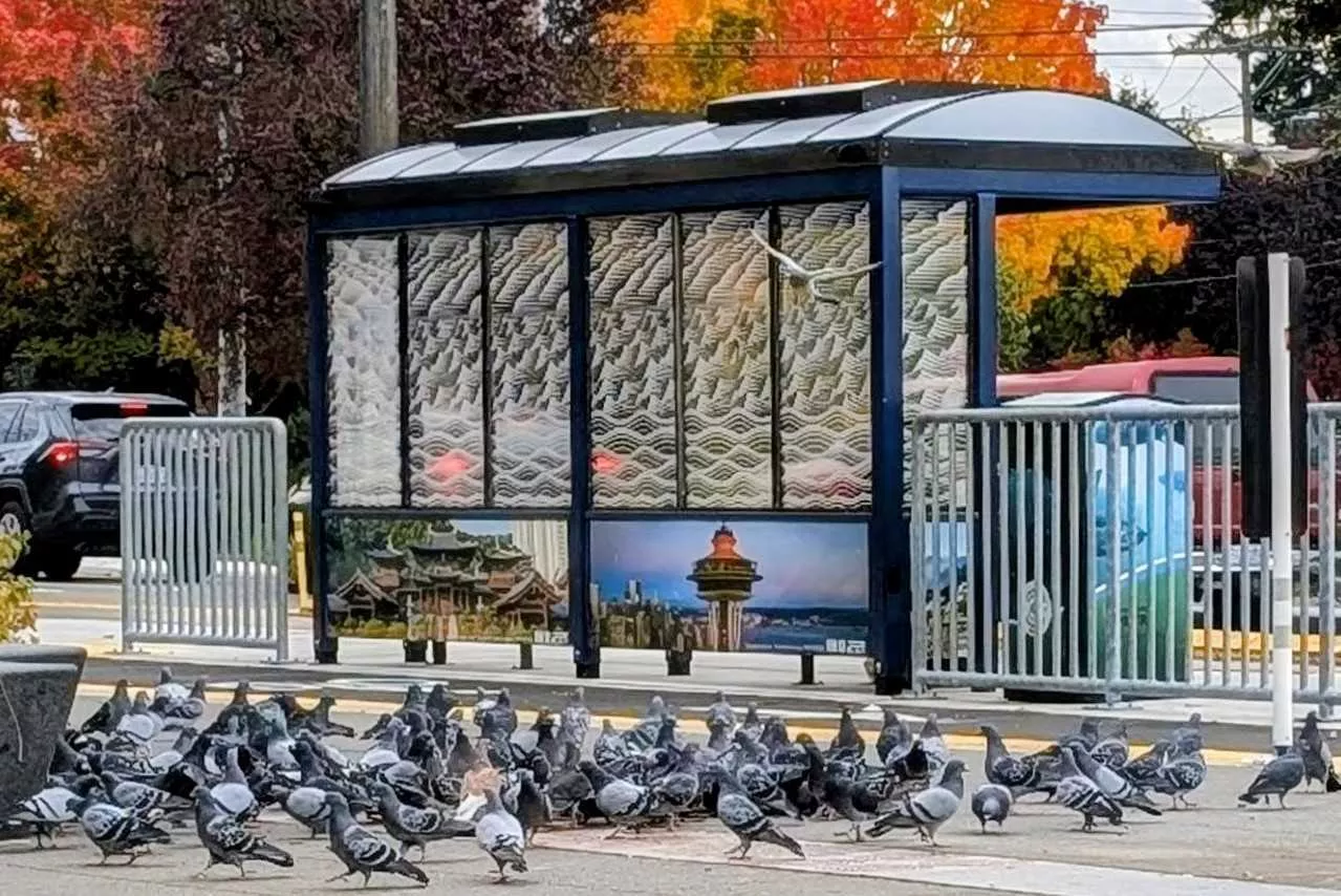 Slog AM: Dems Release Epstein Messages, Wilson’s Lead Grows, and Vote ...