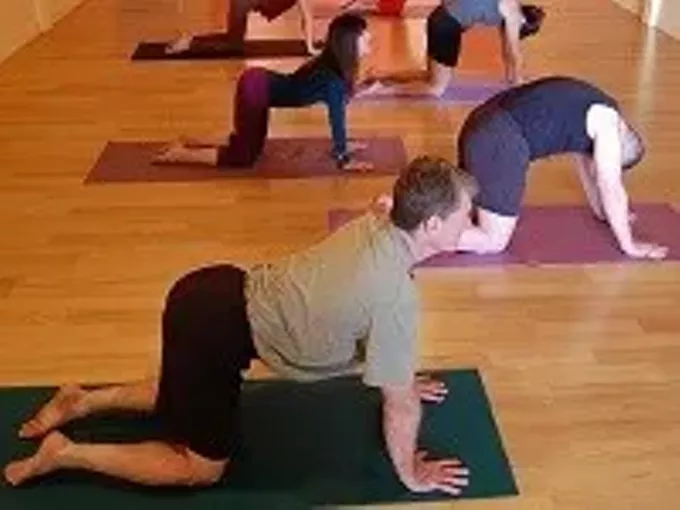 Back Care Yoga | The Yoga Connection | Well-Being | Tucson Weekly