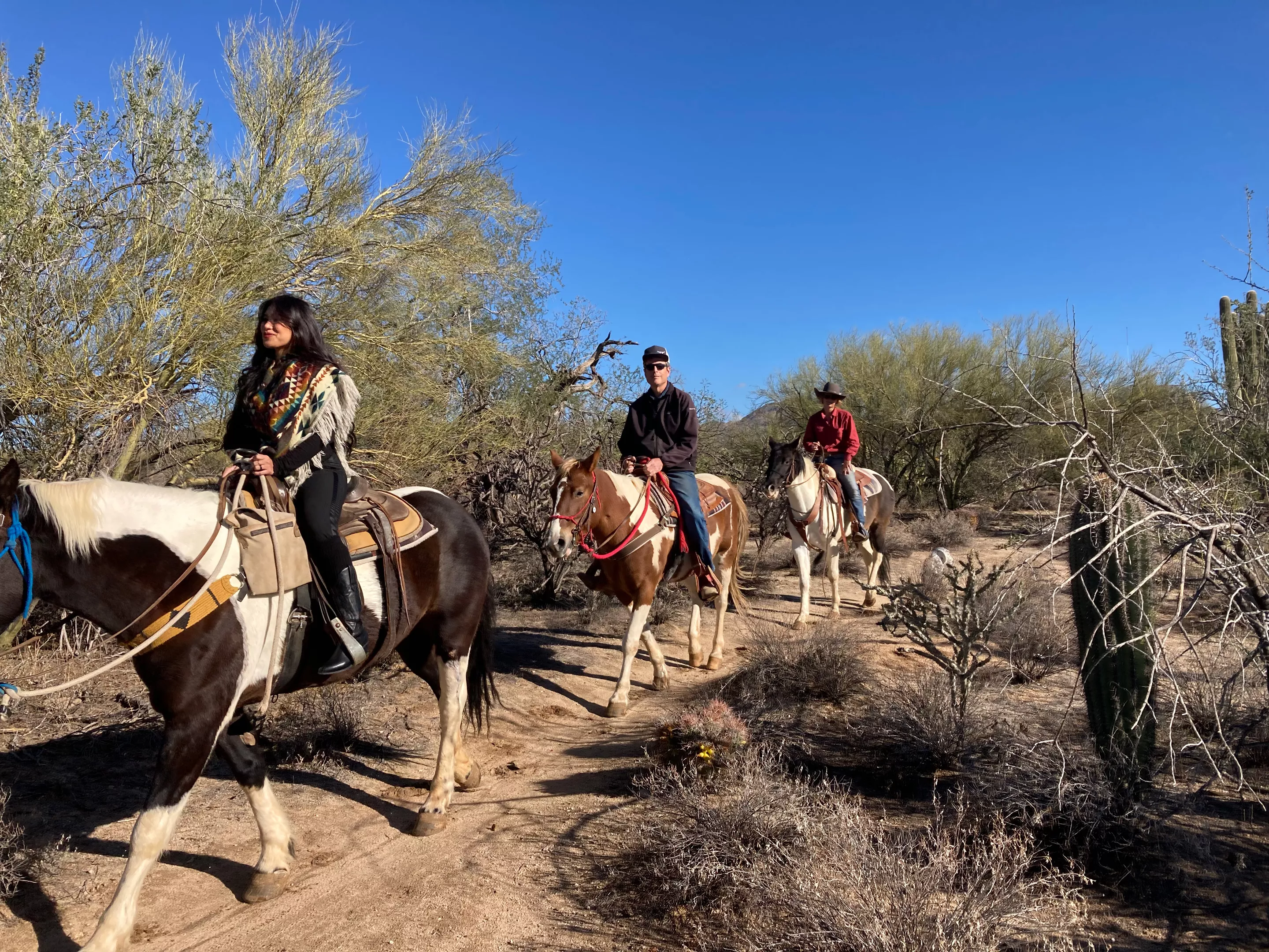 City Week: Week of Jan. 4, 2024 | City Week | Tucson Weekly